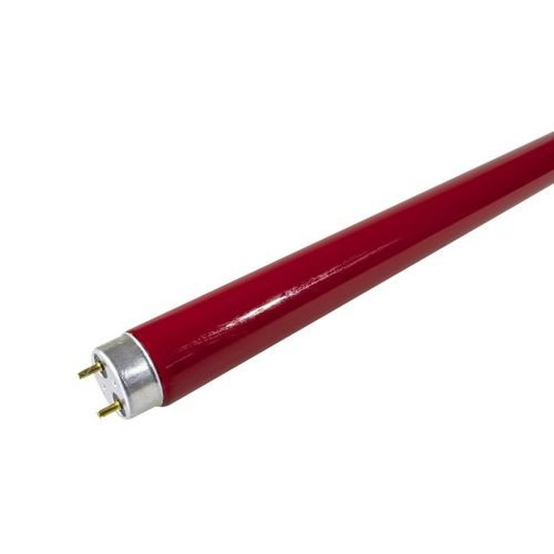 Becuri si lampi clasice si auto | Tuburi fluorescente | T8 TUB ...